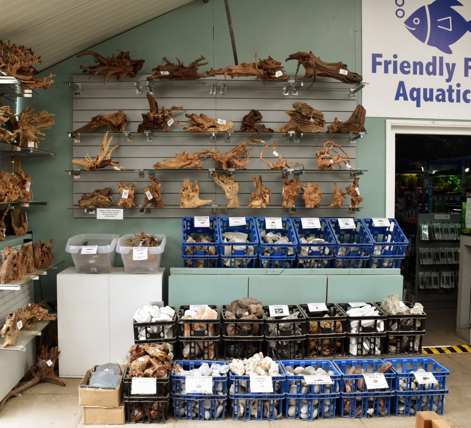 Happy Tropical Fish For Sale For Your Fish Tank.